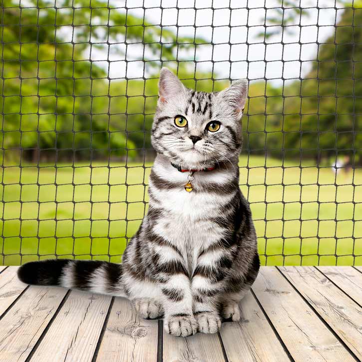 Cat netting, Catio netting, Cat mesh, Cat netting patio fence barrier ...